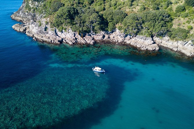 Glass Bottom Boat Whitianga Cathedral Cove Cruise - Final Thoughts