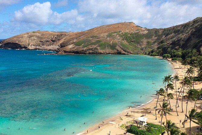 Grand Circle Island and Haleiwa 9 Hour Tour - Who Is This Tour Best For?