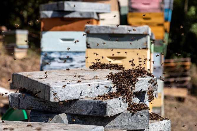 Jeep Safari #1 in Algarve - FAQs About the Jeep Safari #1 in Algarve