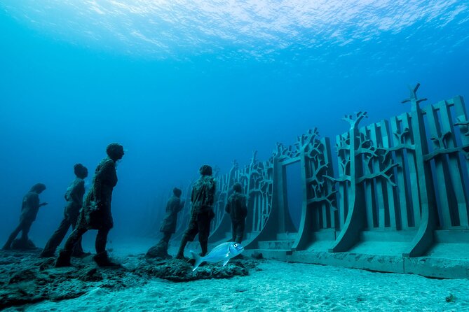 Museo Atlantico for certified divers - Final Thoughts: Is It Worth It?