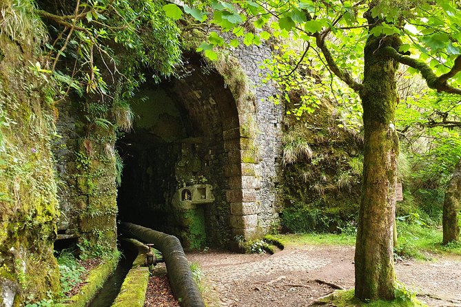 Rabaçal - 25 Fonts - Who Will Love This Tour?