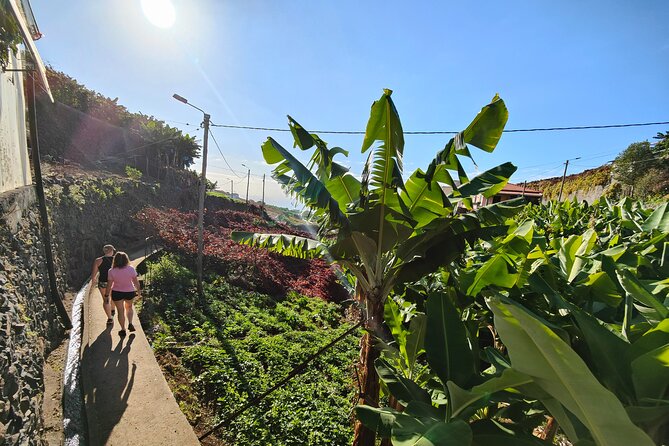 Real Life, Mountains & Sea Cliffs (Nun´s Valley View) - Half Day 4x4 Tour - Final Thoughts