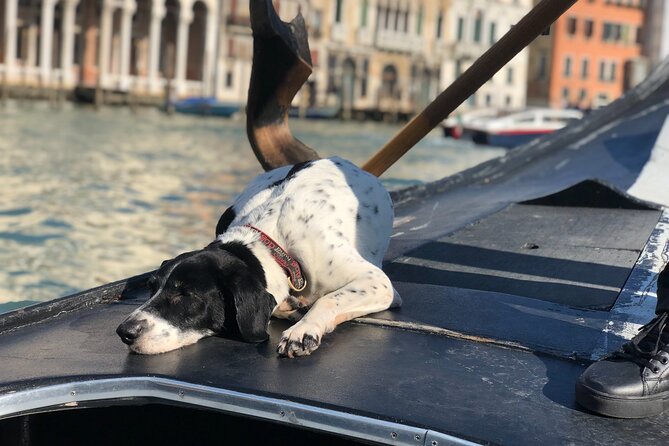 The Secrets of Venice - FAQ