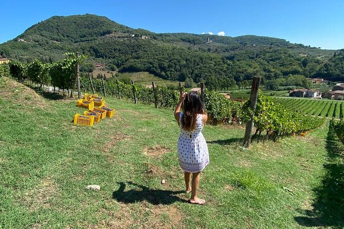 Tuscan Wine Tour in Lucca by van - Considerations and Tips