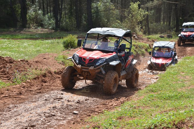 Buggy Safari for 2 people - The Sum Up