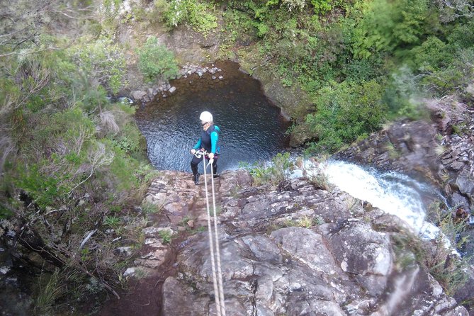 Canyoning Madeira Island - Level Two - Authentic Experiences From Fellow Travelers