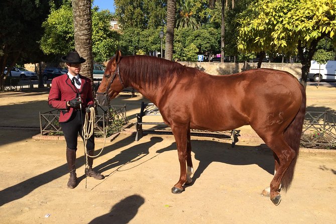 Cordoba Private Tour with Mosque Entrance from Seville - FAQs
