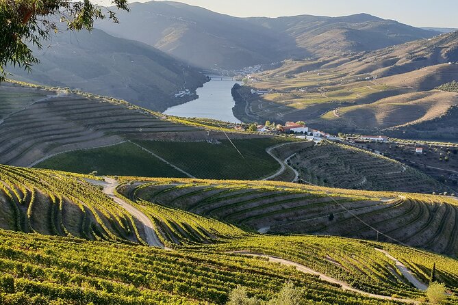 Douro Private Tour Customizable Experience - Who Would Love This Tour?