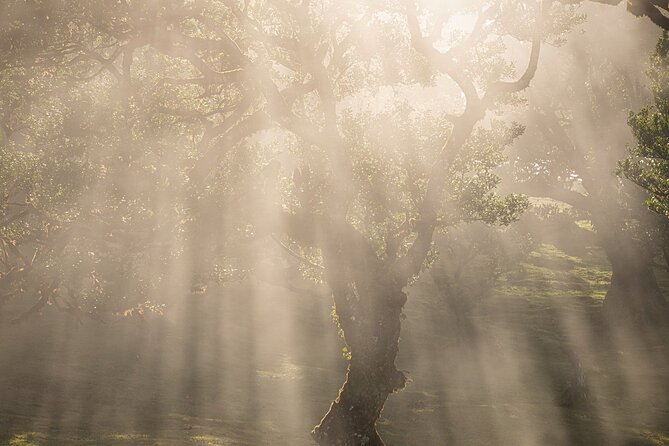 Full Day Tour to West Madeira Island - Who Will Love This Tour?