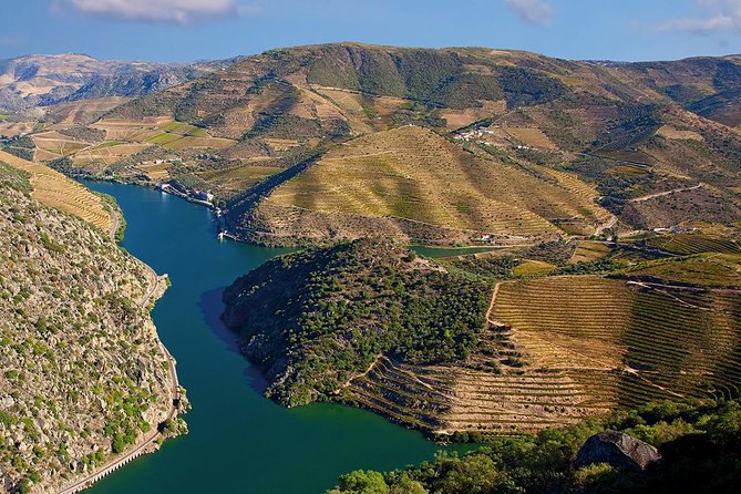 Porto: Douro Valley Wine Tour Including Lunch - Final Winery Visit & Port Tasting