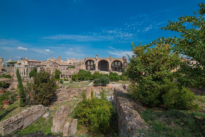 Rome: Colosseum Arena, Roman Forum & Palatine Hill Tour - FAQ