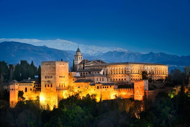 Alhambra, Nasrid Palaces and Generalife Private Tour from Malaga - Who Should Consider This Tour?