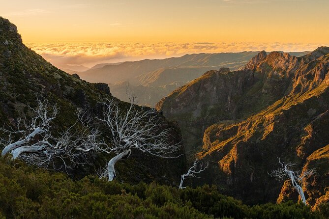 Full Day Tour to West Madeira Island - FAQ