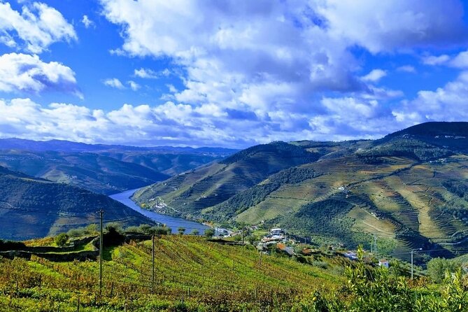 Douro Valley Small-Group Tour: 2 Wineries, Lunch, Optional Cruise - Final Thoughts