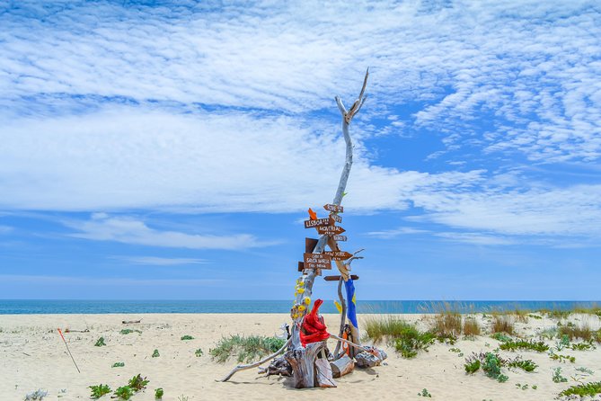 Boat trip from Faro to Ilha Deserta by Ferry - Key Points