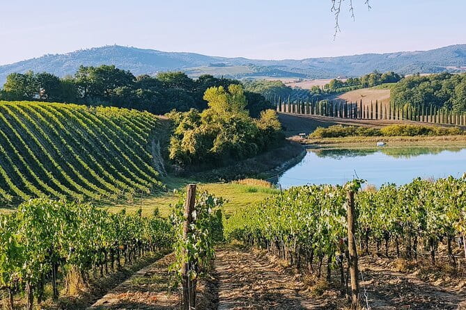 Chianti Wine Tastings at Sunset Day Trip from Florence - An In-Depth Look at the Tour Itinerary