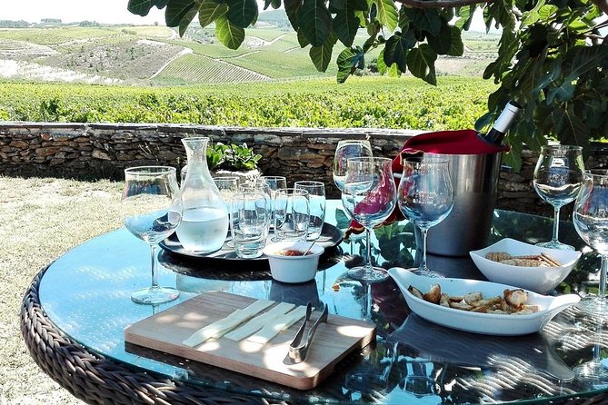 Douro Private Tour Customizable Experience - Key Points