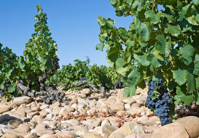 Highlights of Provence : Chateauneuf du Pape & Luberon - Introduction