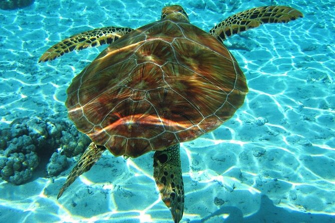 Laganas Zakynthos: Marathonissi, Keri Caves and Turtles Spotting - Key Points