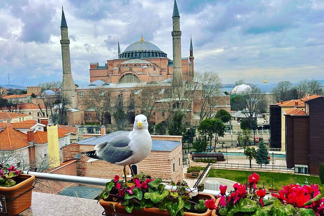 Local Tour with Guide Taha - Exploring Istanbul’s Old City with Guide Taha: An In-Depth Review