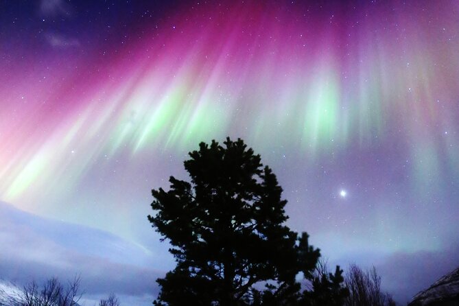 Northern Lights Big Bus Chase with Free Photos