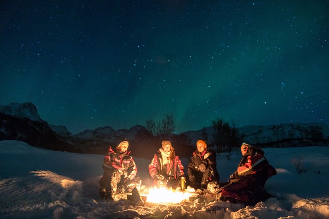 Northern Lights tour with Alta Adventure - Key Points