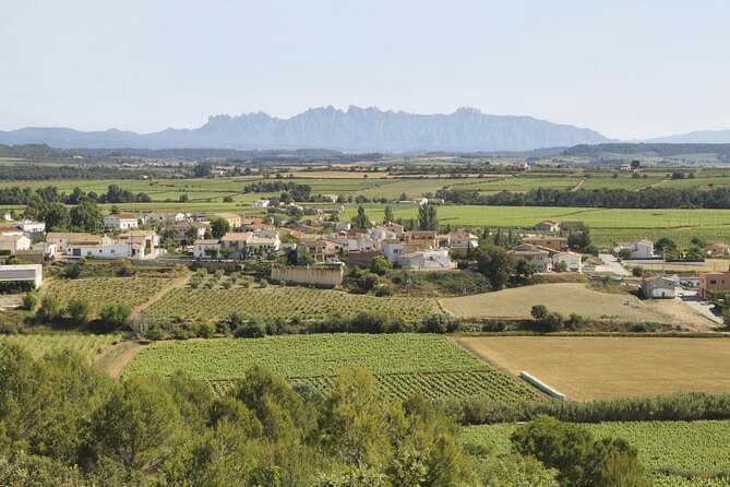 Penedes Wine & Cava Tasting & 4WD Vineyards Tour from Barcelona - Key Points