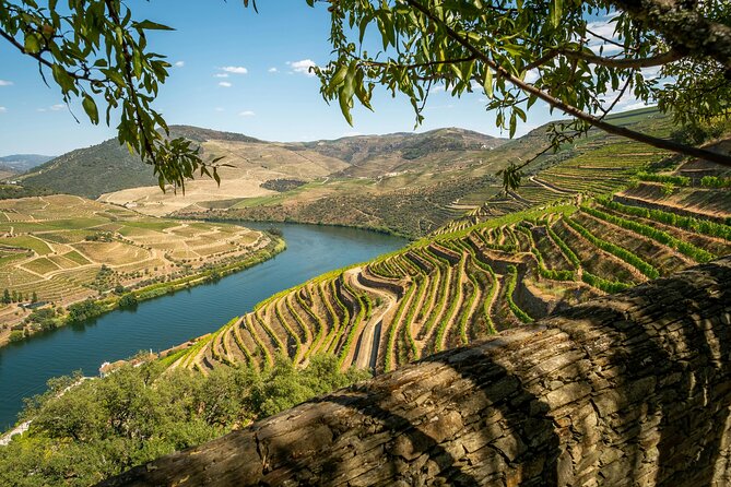 Private Douro Valley Tour: Boutique Winerie & River Cruise - Key Points