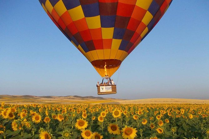 Seville Hot-Air Balloon Ride with Breakfast, Cava & Hotel Pick up - Key Points