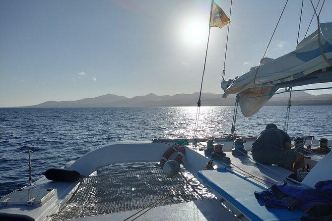 Small Group Dolphin Sunset Tour on Electric Catamaran Lanzarote - Overview of the Experience