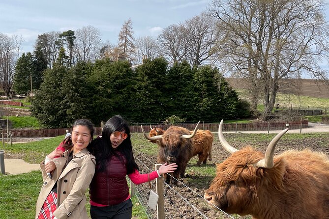 Speyside Whisky Tour - Your Day at a Glance: Itinerary and Highlights