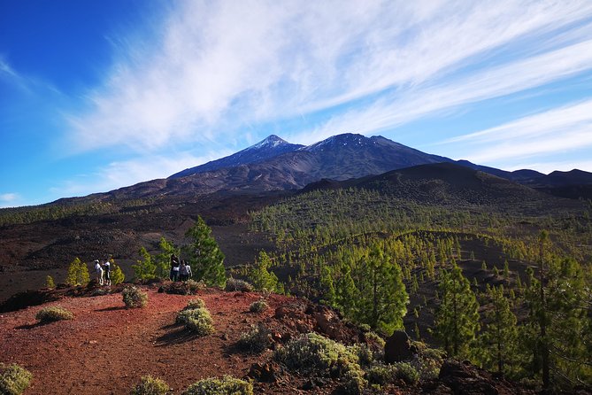 Teide National Park for smaller groups - Key Points