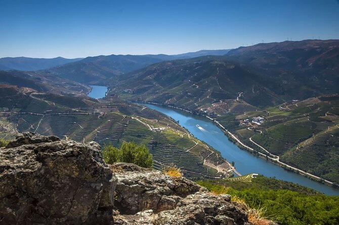 VALE DOURO: Premium Wine, Lunch Wine & Private Boat Tour - Key Points