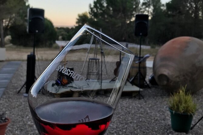 Visit and Wine Tasting at the Territorio Luthier Winery - A Closer Look at the Territorio Luthier Winery Experience
