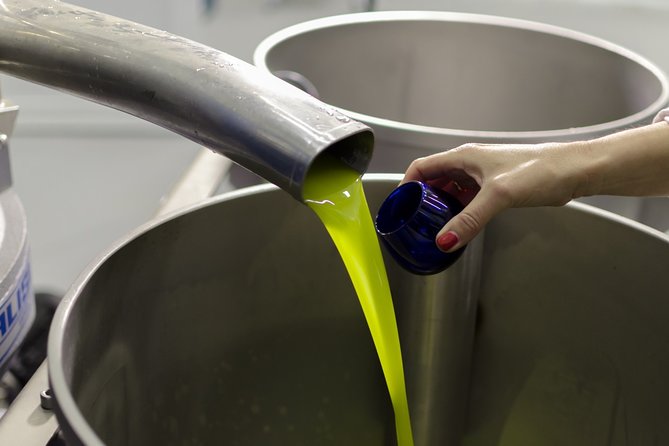 Visit to the oil mill with EVOO experiences in Cuenca - Why This Tour Is Worth Your Time