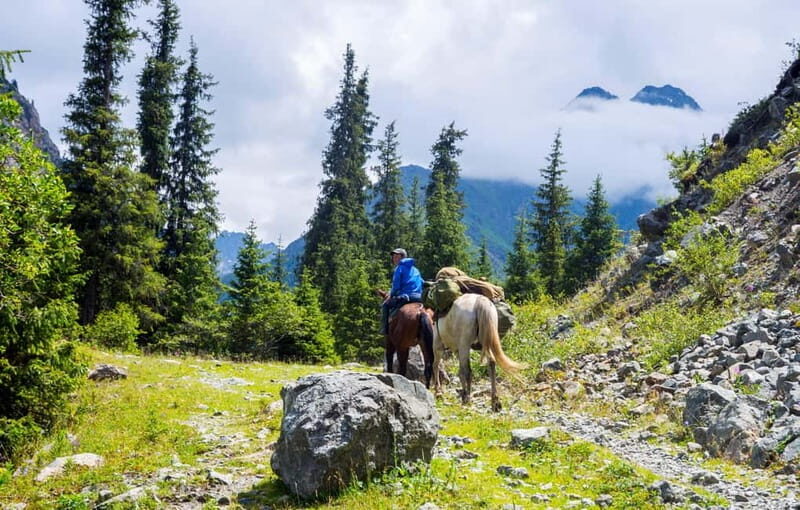 1 Day Horse Riding Adventure in Borjomi Mountains - An In-Depth Look at the Tour Experience