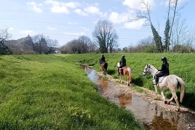 1 hour horseback ride in Valgraziosa Pisa