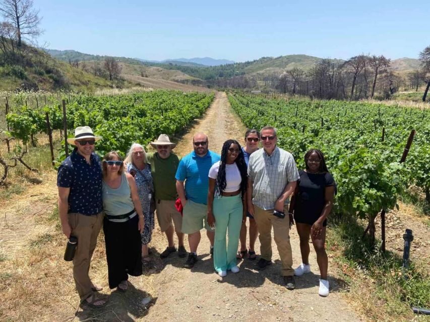 11 Course Lunch, Wine Tasting & Cooking Mastery in Rhodes