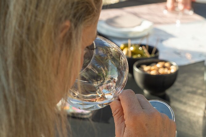 1/2 day, private wine tour, van from Saint Tropez - The Experience in Detail