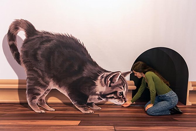 3D Fun Art Museum Funchal - Unlocking the Magic at the 3D Fun Art Museum