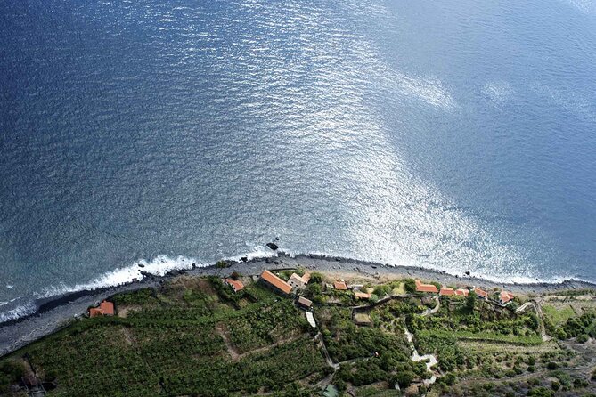 4-Hour Private Outdoor Tour in Madeira - The Detailed Experience: What You Can Expect