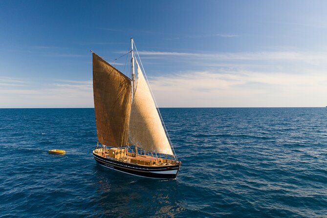 8-Hour Whale Watching in Barcelona - Key Points