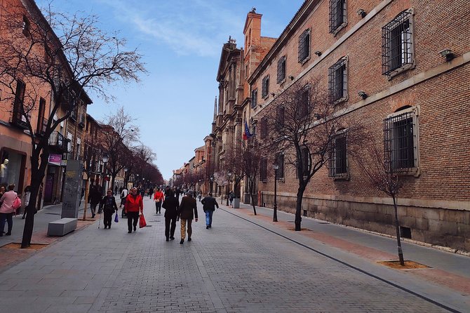 Alcala de Henares and Cervantes Guided Tour from Madrid - Introduction: A Look at This Cultural Half-Day Escape