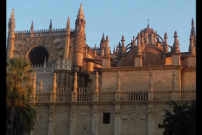 Alcazar and Cathedral of Seville Private Tour - A Deep Dive into the Tour Experience