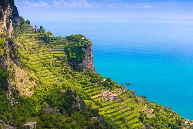 Amalfi Coast Small-Group Day Trip from Rome Including Positano - A Detailed Look at the Tour Experience