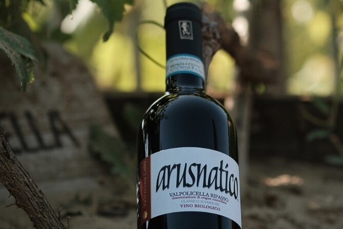 Amarone 2005 Wine Experience - An In-Depth Look at the Amarone 2005 Wine Experience