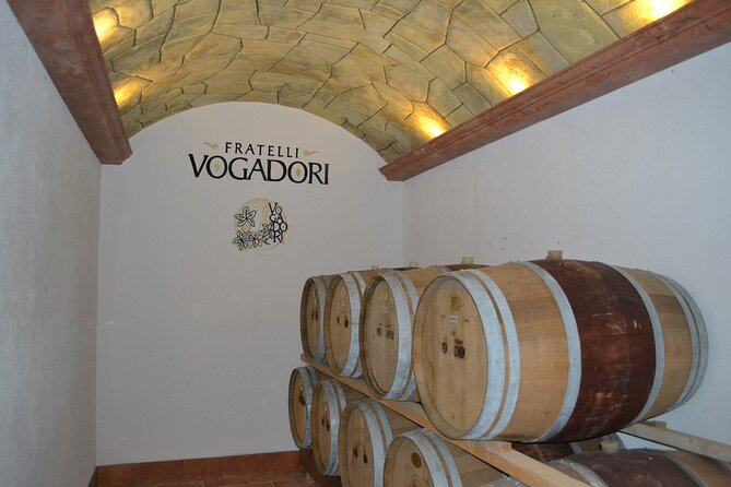 Amarone Della Valpolicella Wine Experience - Meet the Vogadori Family - The Tasting Experience: What You Can Expect