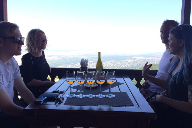 Amber Wines Private Day trip With tastings and Lunch From Tbilisi - The Experience and Value