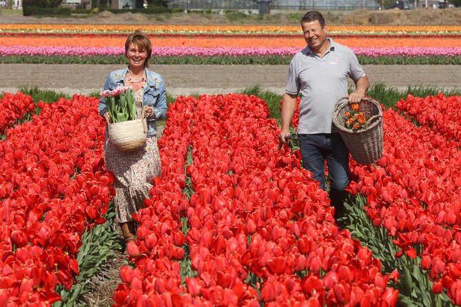 Amsterdam: Day trip to Tulip Farm, Keukenhof + Windmill Cruise - Authentic Insights from Travelers