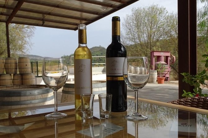 Arrábida Palmela Azeitão Private Tour - W/ Wine Tasting & Tapas - A Detailed Look at the Tour Experience